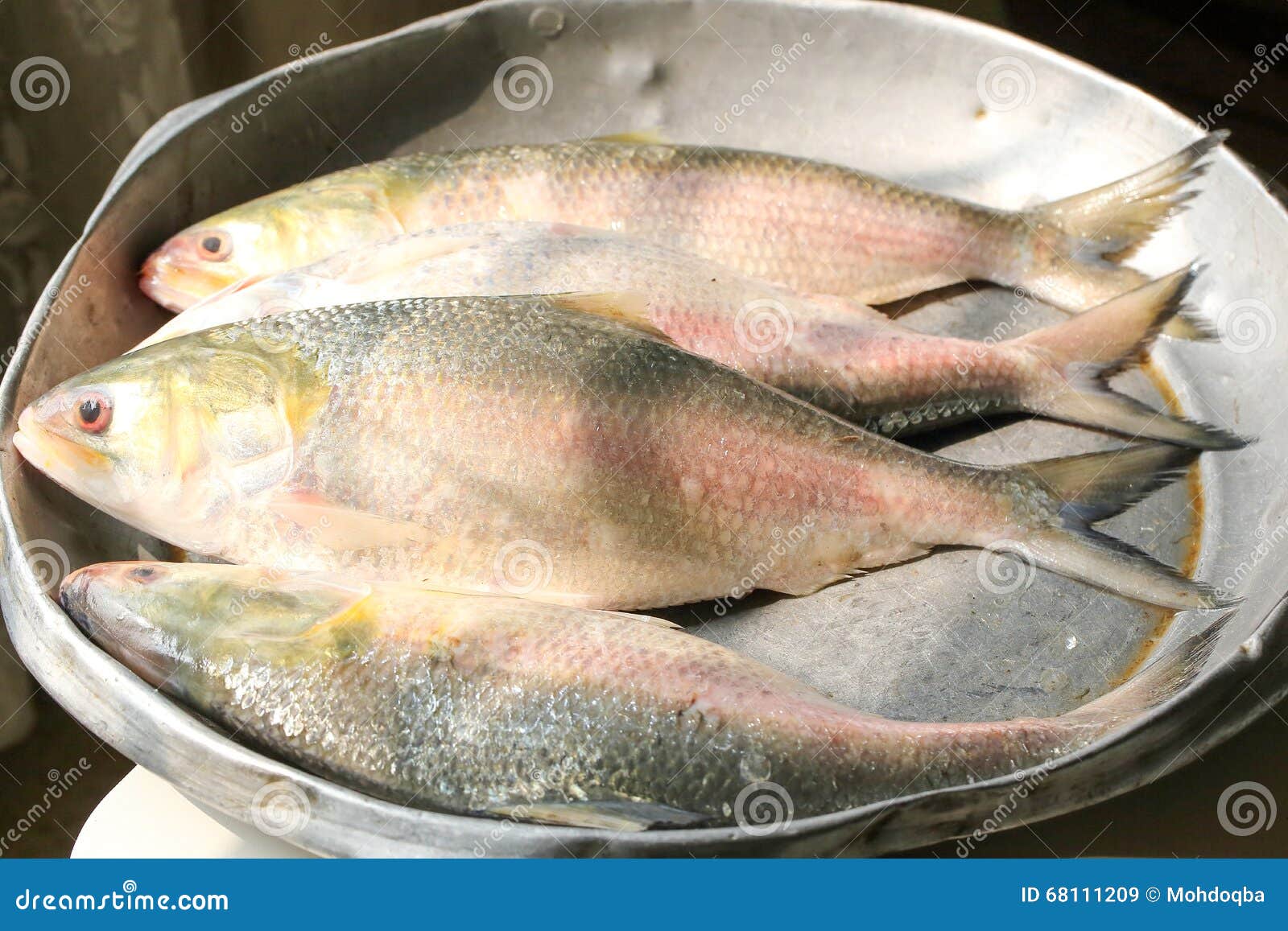Hilsa Fish Or Ilish Being Sold In Fish Market On A Banana Leaf. This ...