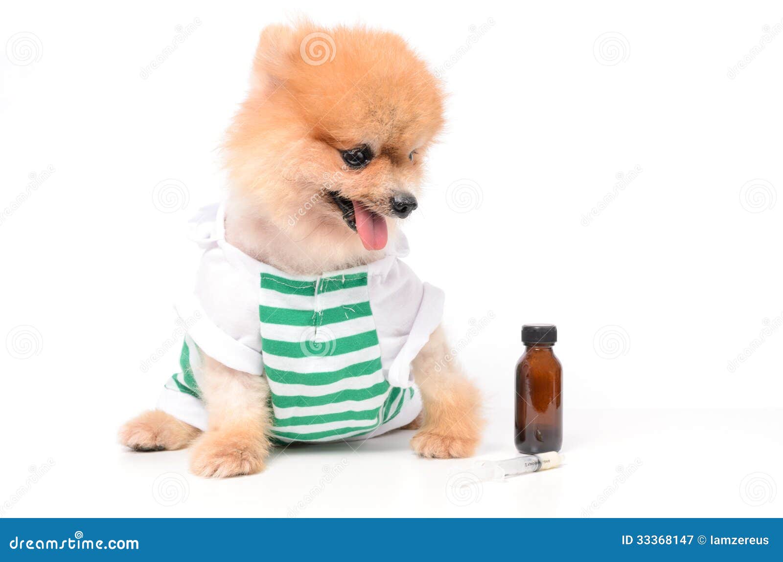 Ill dog and drug stock image. Image of medicate, brown - 33368147