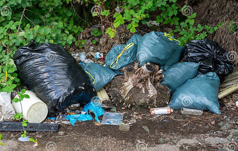 Illegal Dump in Nature with Waste Stock Image - Image of trash, recycle ...