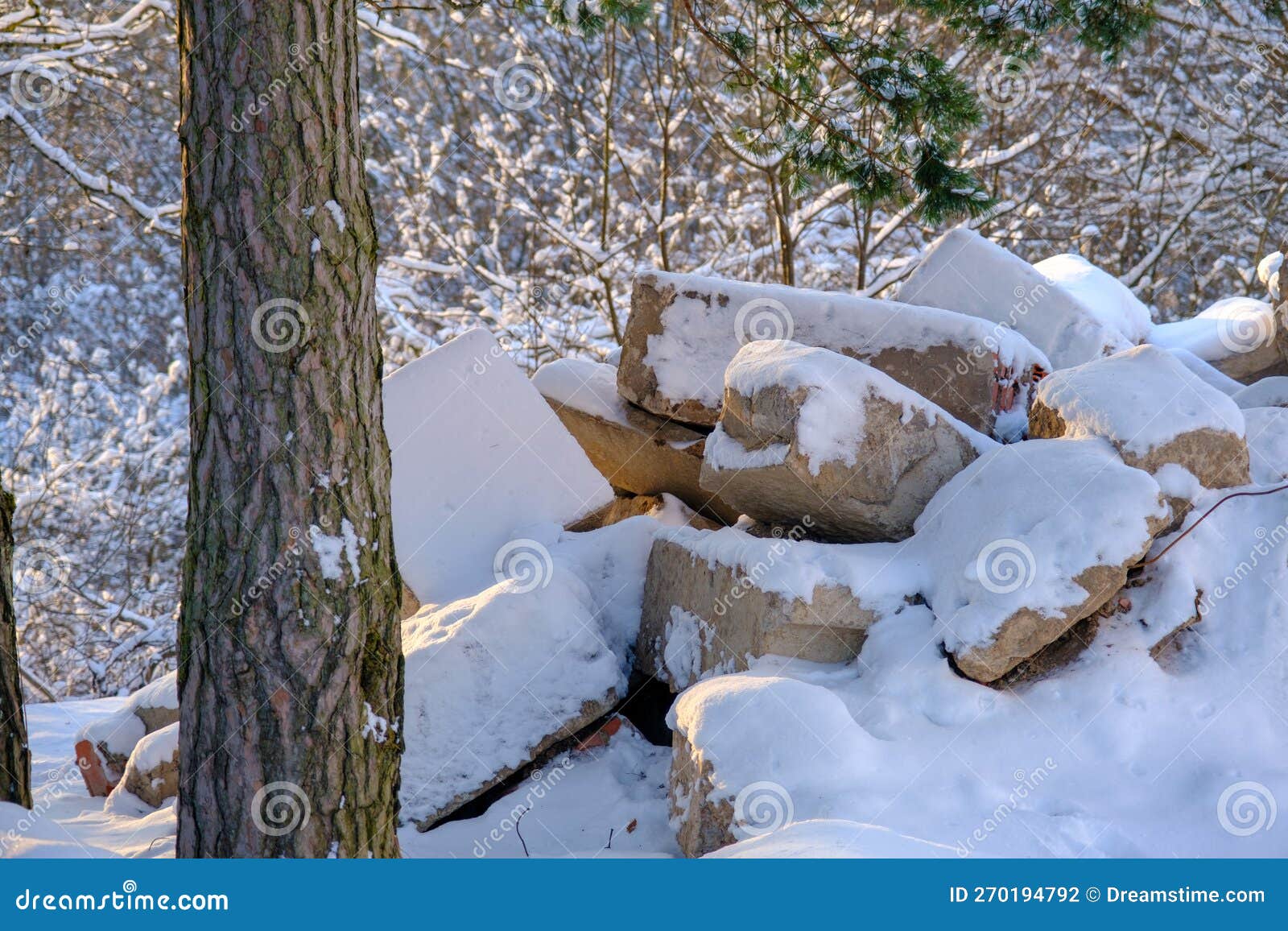 Illegal Dump in the Woods. Environmental Pollution from Construction ...