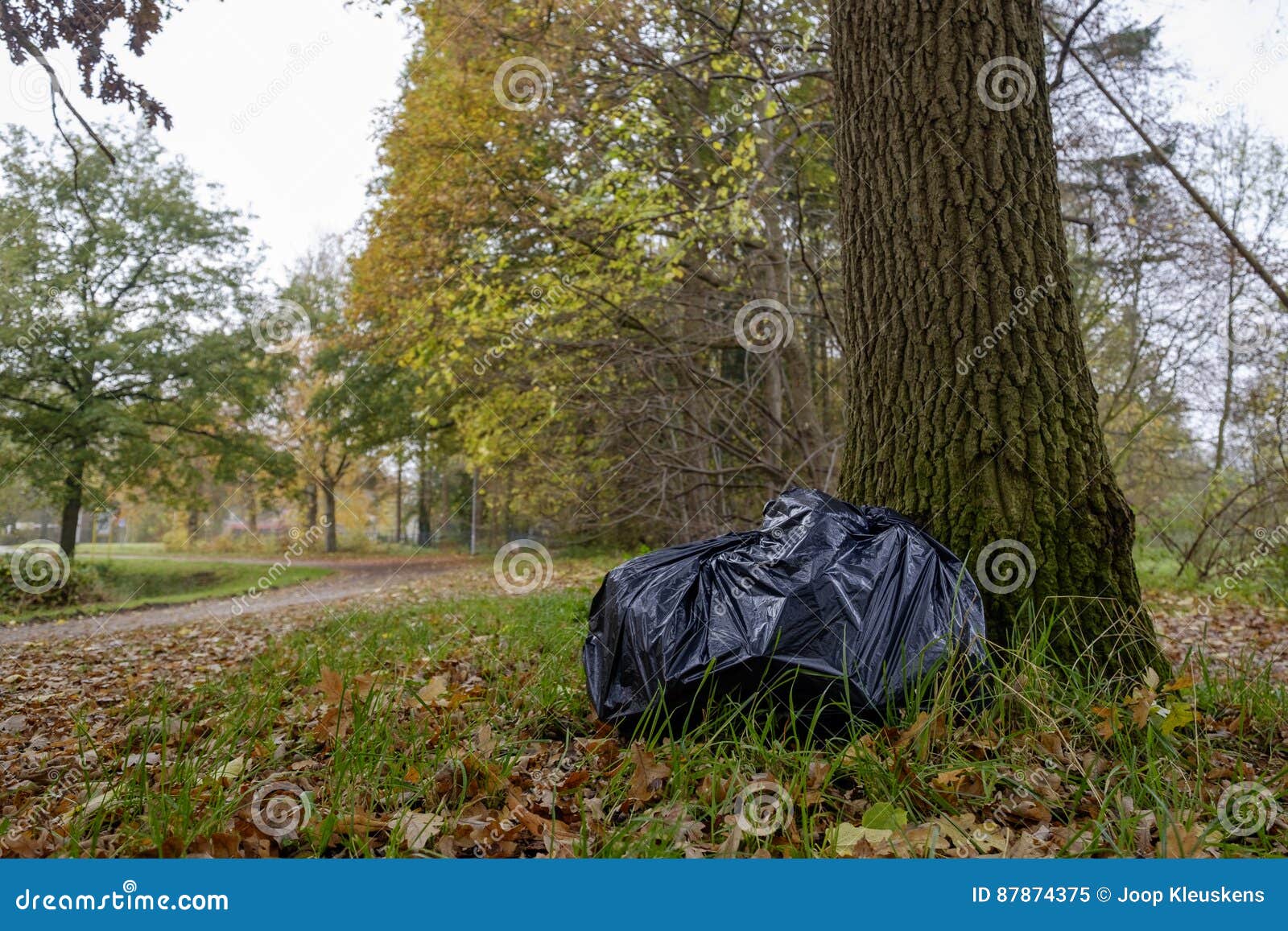 Illegal Dumping in the Nature Stock Image - Image of damage, illegal ...
