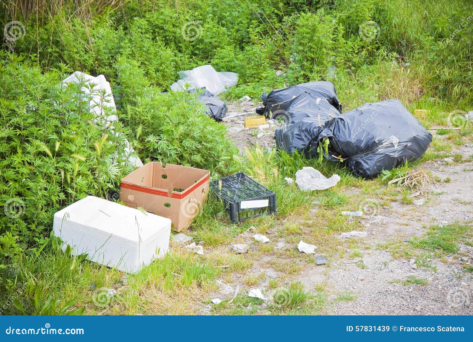 Illegal Dumping in the Nature Stock Image - Image of toned, criminal ...