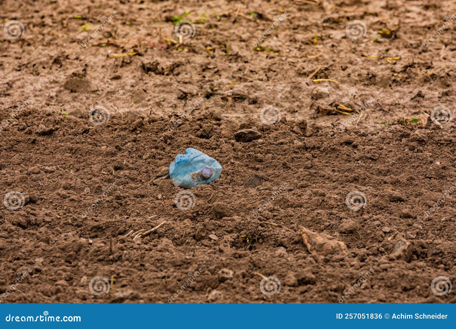 Environmental Litterer Stock Photos - Free & Royalty-Free Stock Photos ...