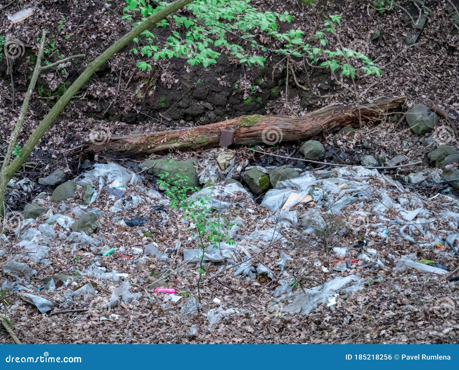 Illegal Garbage Dump in a Dark Forest Gorge Stock Photo - Image of ...