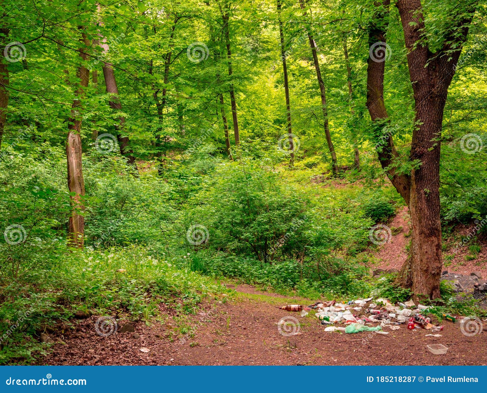 Illegal Garbage Dump in Forest Stock Image - Image of dump, dirty ...