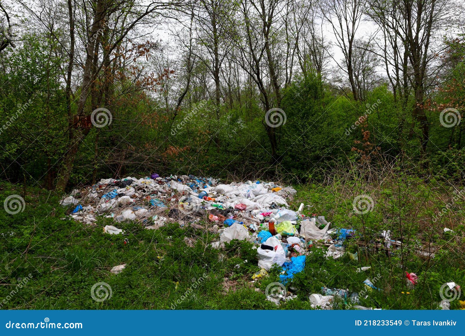 Illegal Garbage Dump in the Forest on a Sunny Day. Stock Image - Image ...