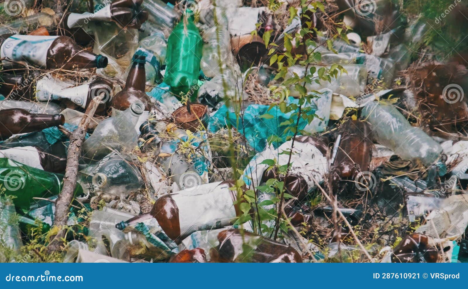Illegal Garbage Dump of Plastic and Bottles in the Forest Pit ...