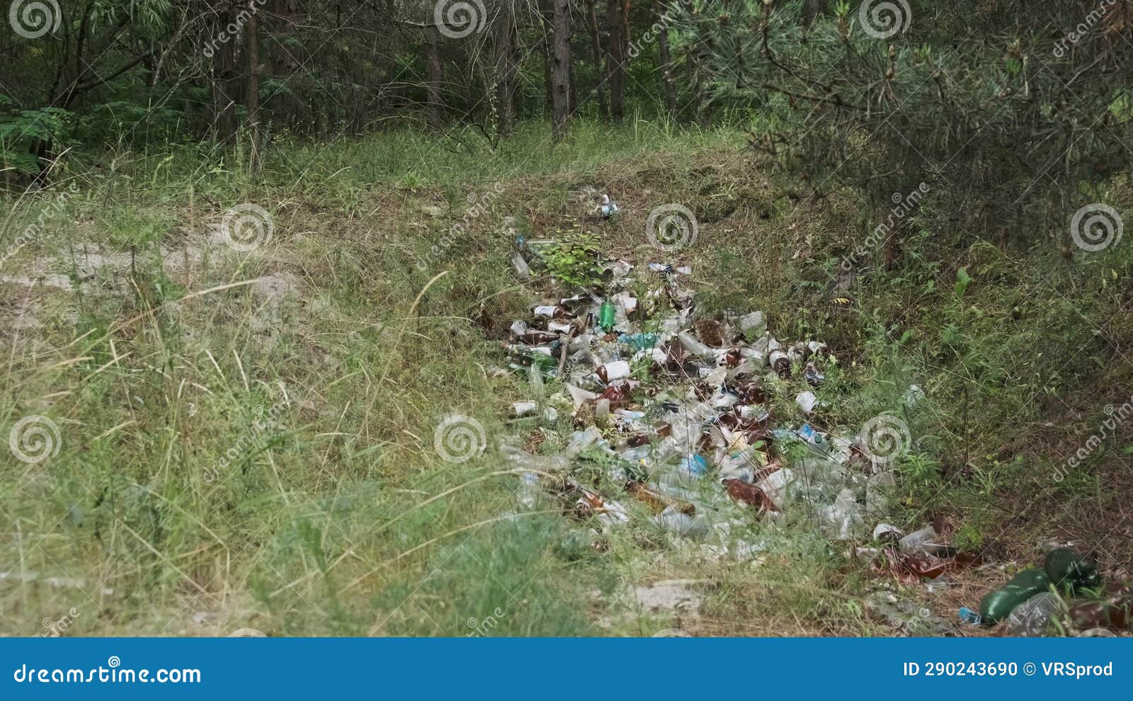 Illegal Garbage Dump of Plastic and Bottles in the Forest Pit Stock ...