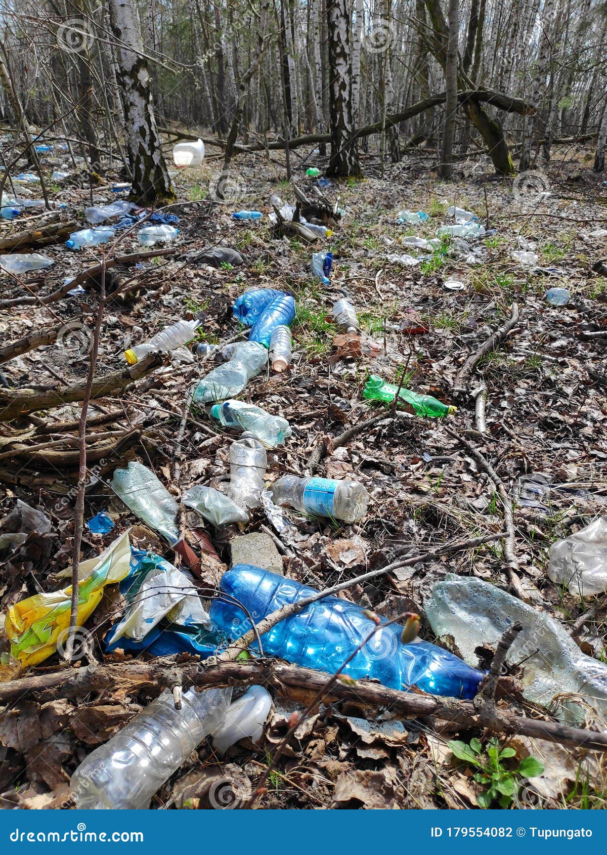 Illegal garbage in forest editorial photography. Image of dumped ...