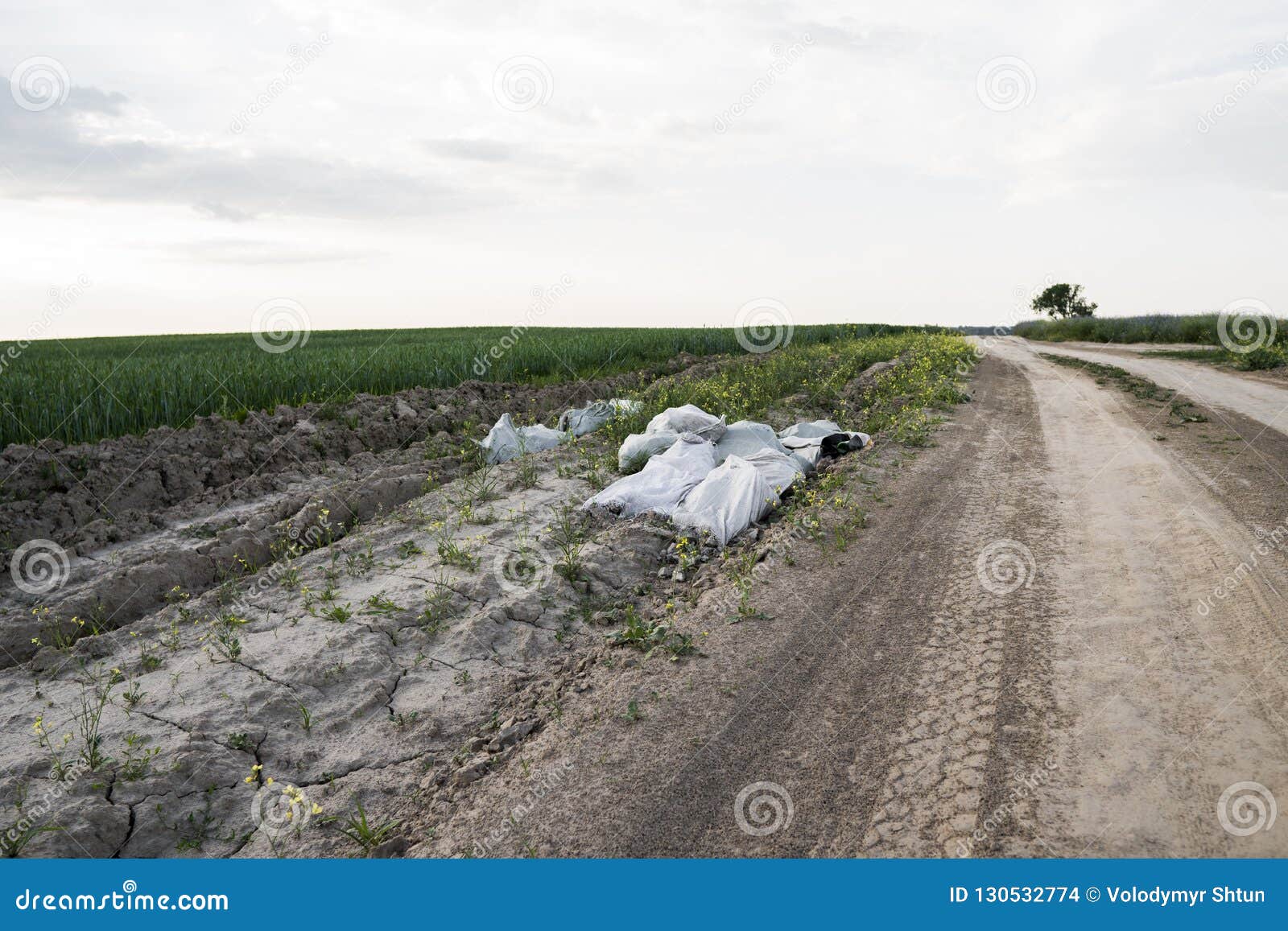 Illegal Waste Disposal. Pollution of the Environment Stock Photo ...