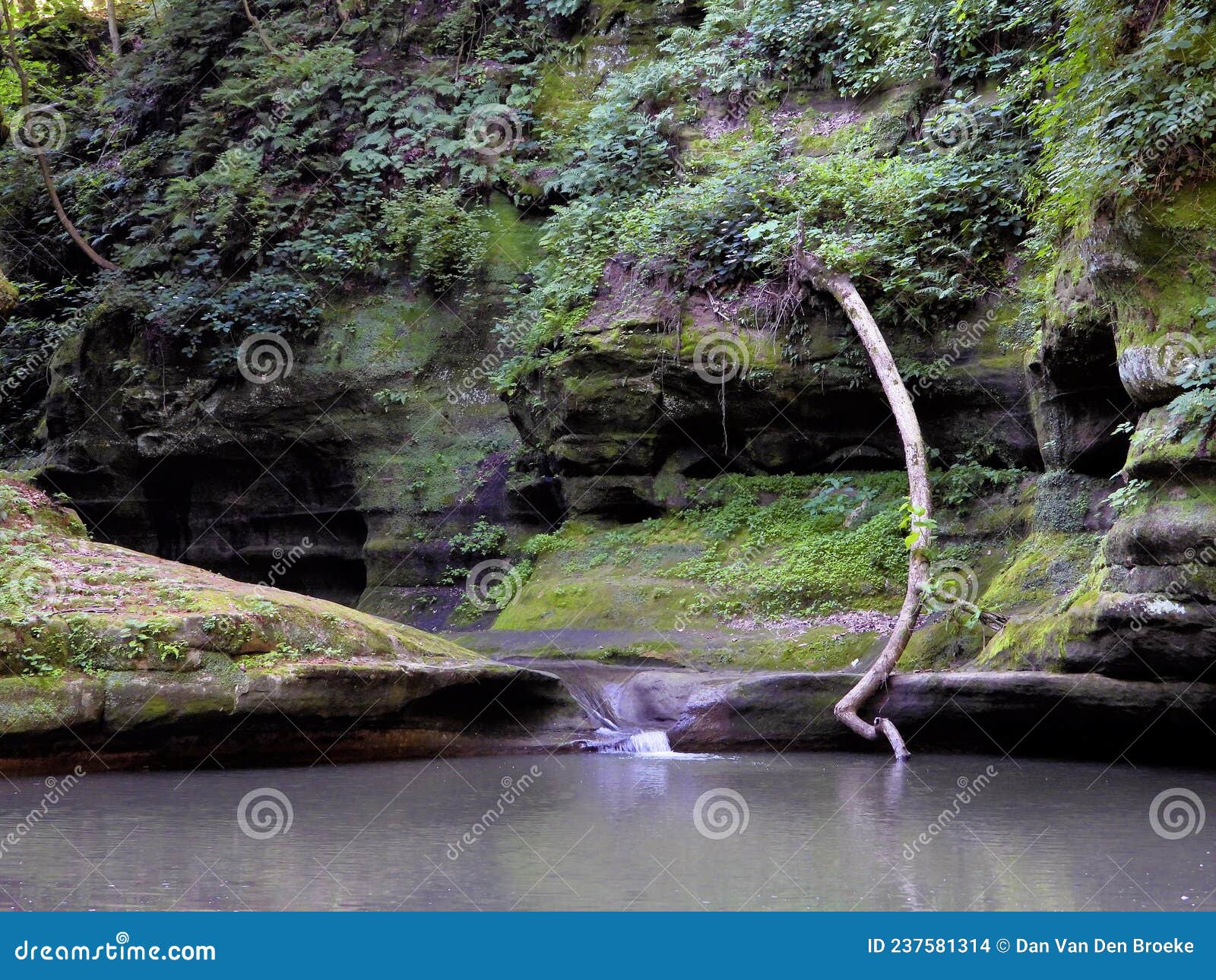 Illinois Canyon Waterfall in Spring Starved Rock State Park Illinois ...