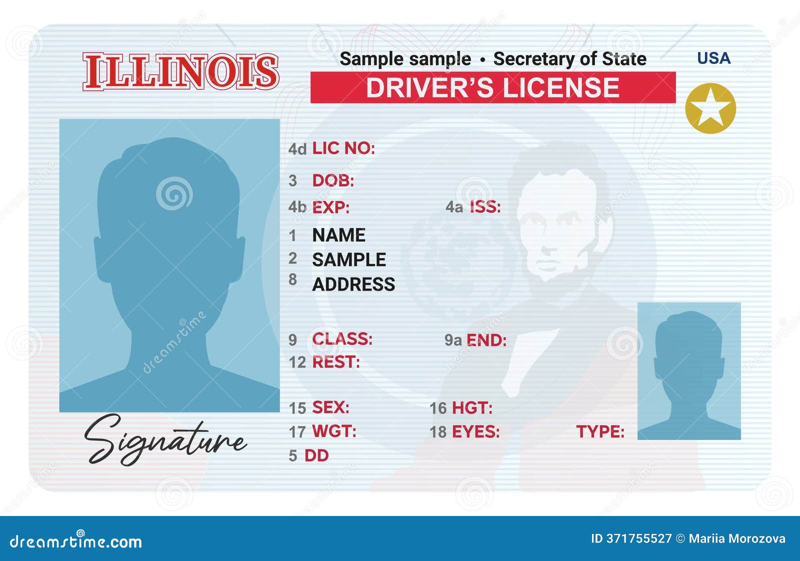 Illinois Car License Plate, USA, Letters, Numbers And Symbols Vector ...