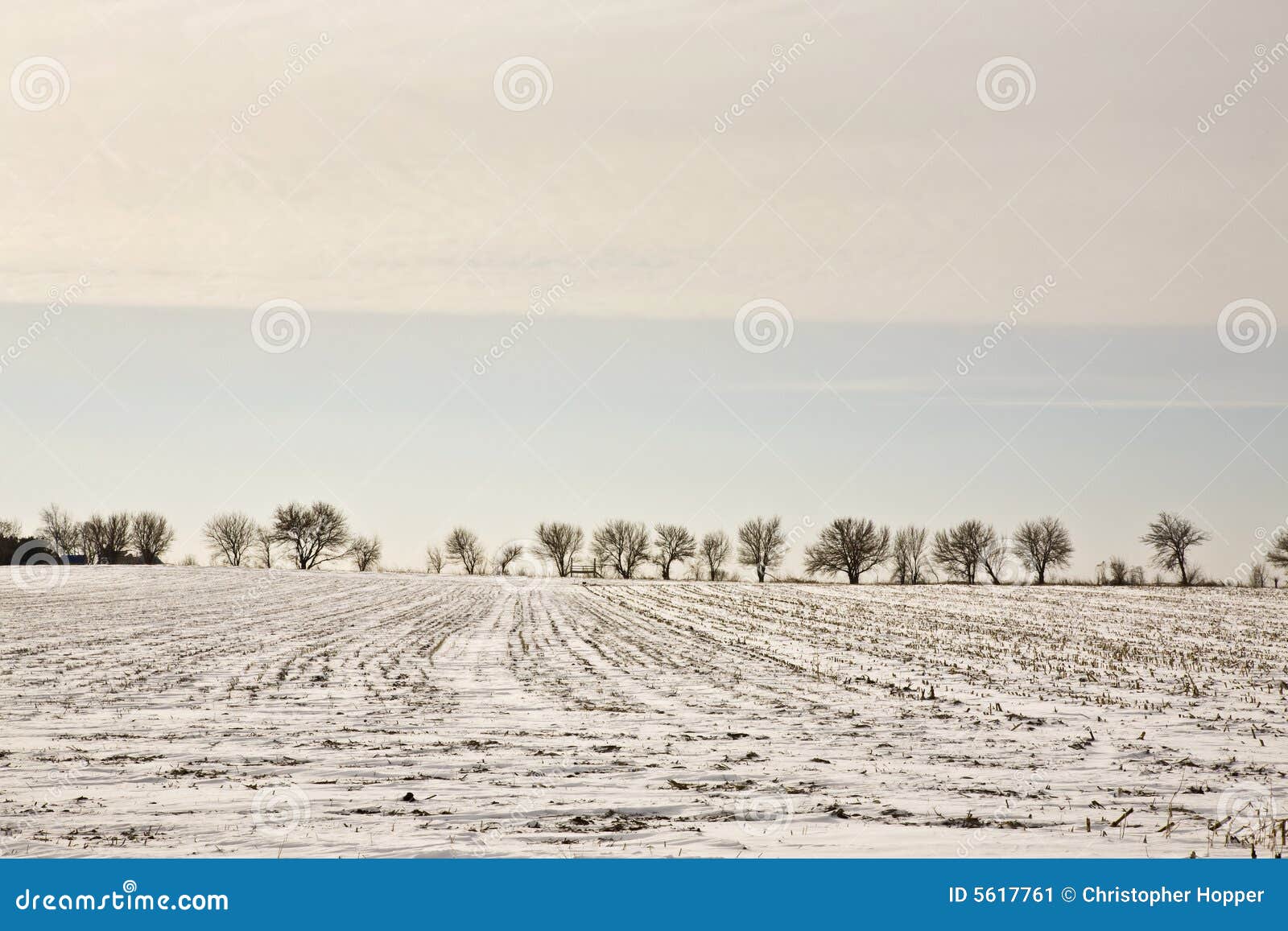 Illinois Winter Landscape stock image. Image of agriculture - 5617761