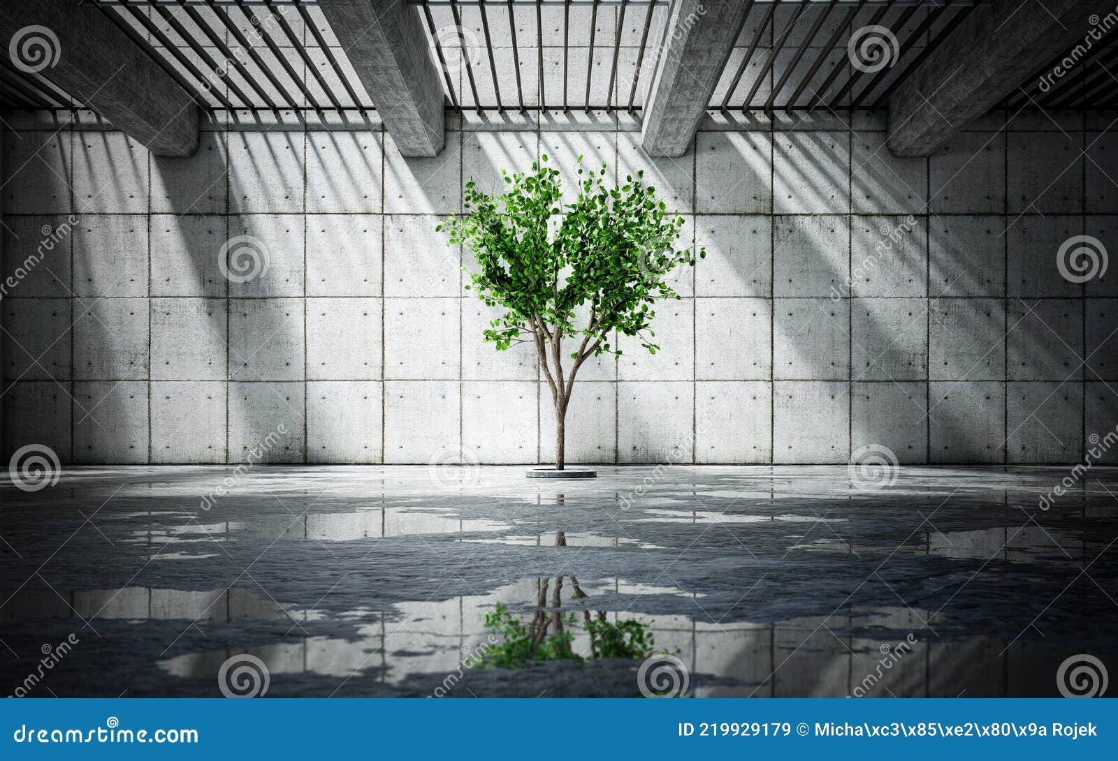 Illuminated Alone Tree on the Background of Concrete Wall with ...