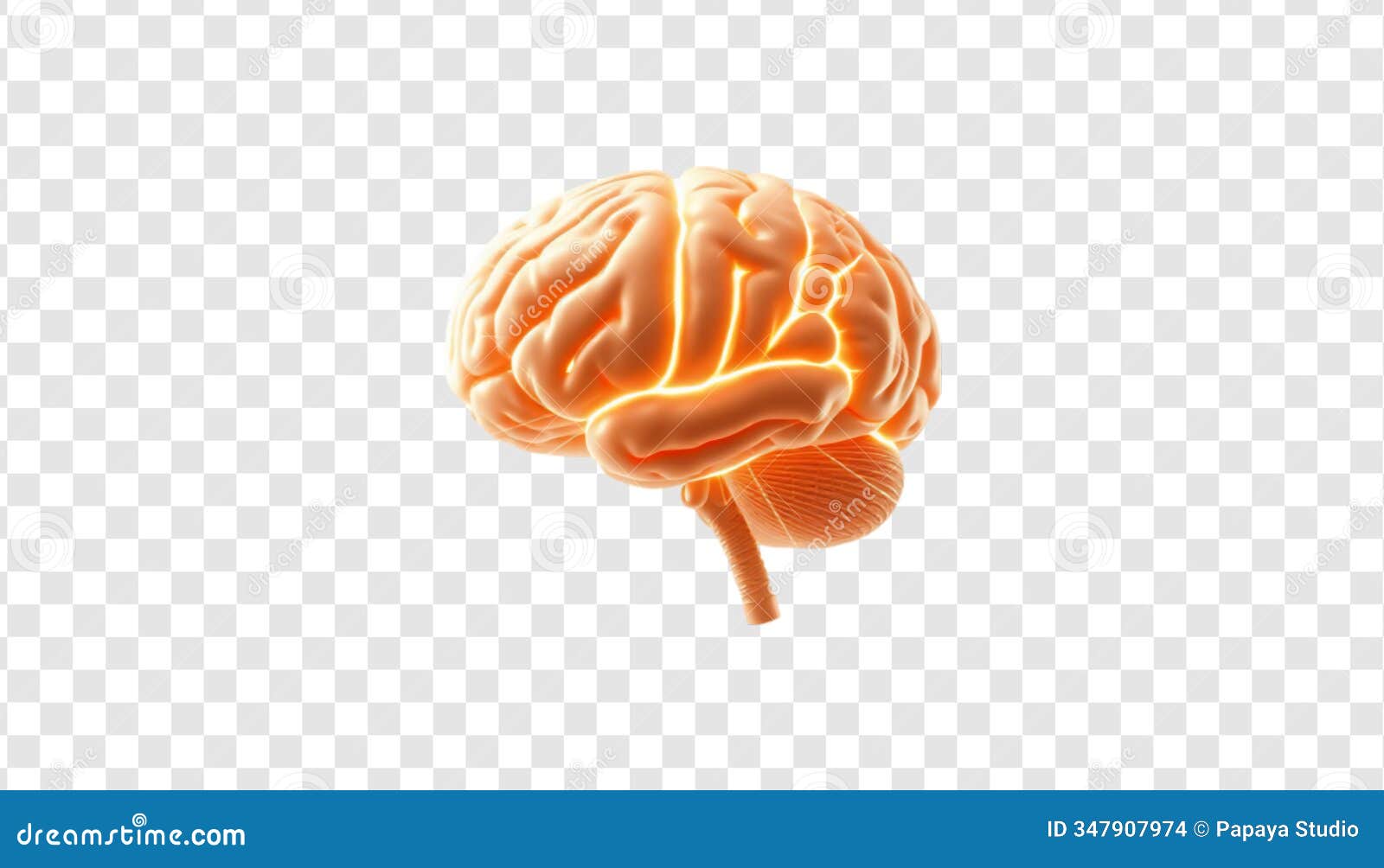 A Series Of Mathematical Symbols Including Plus, Minus, And ...