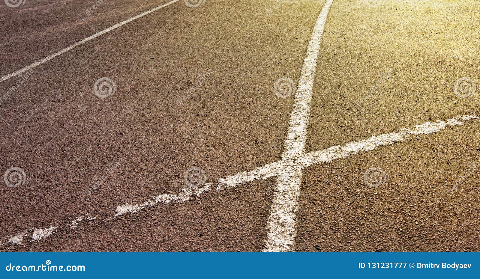 Illuminated by the Bright Sun Running Track Stock Image - Image of ...