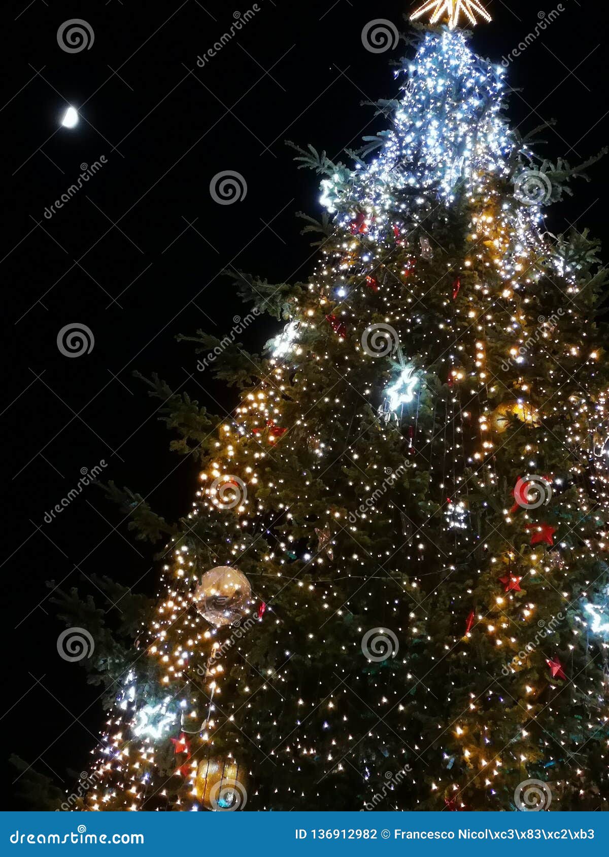 Christmas Tree in the Night Stock Photo - Image of night, shines: 136912982