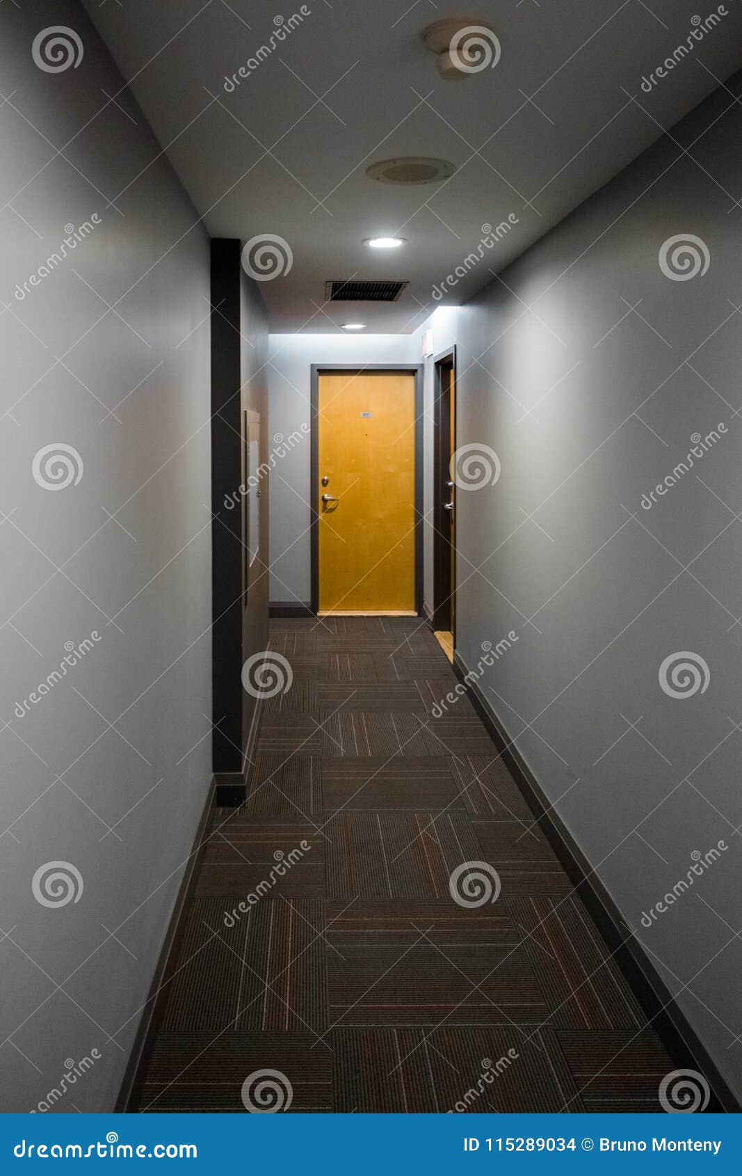 Hallway with closed doors stock photo. Image of illuminated - 115289034