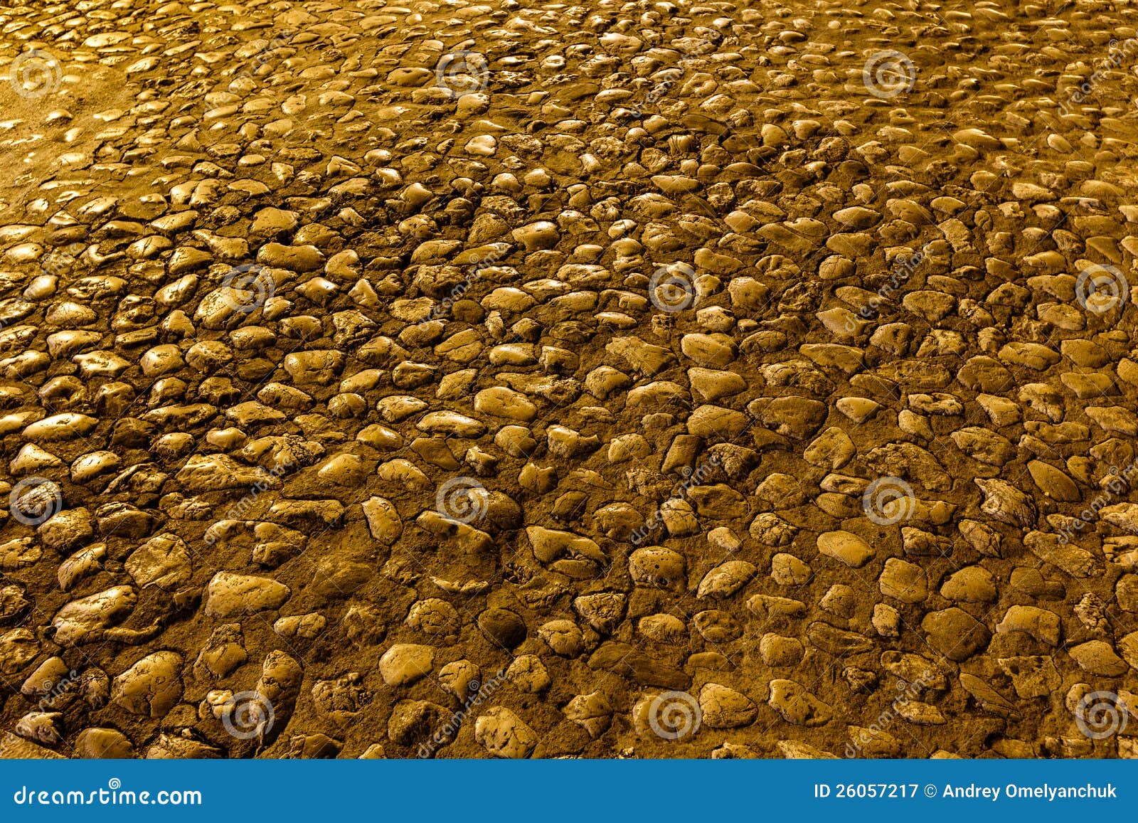 Illuminated Golden Cobblestones Stock Image - Image of city ...