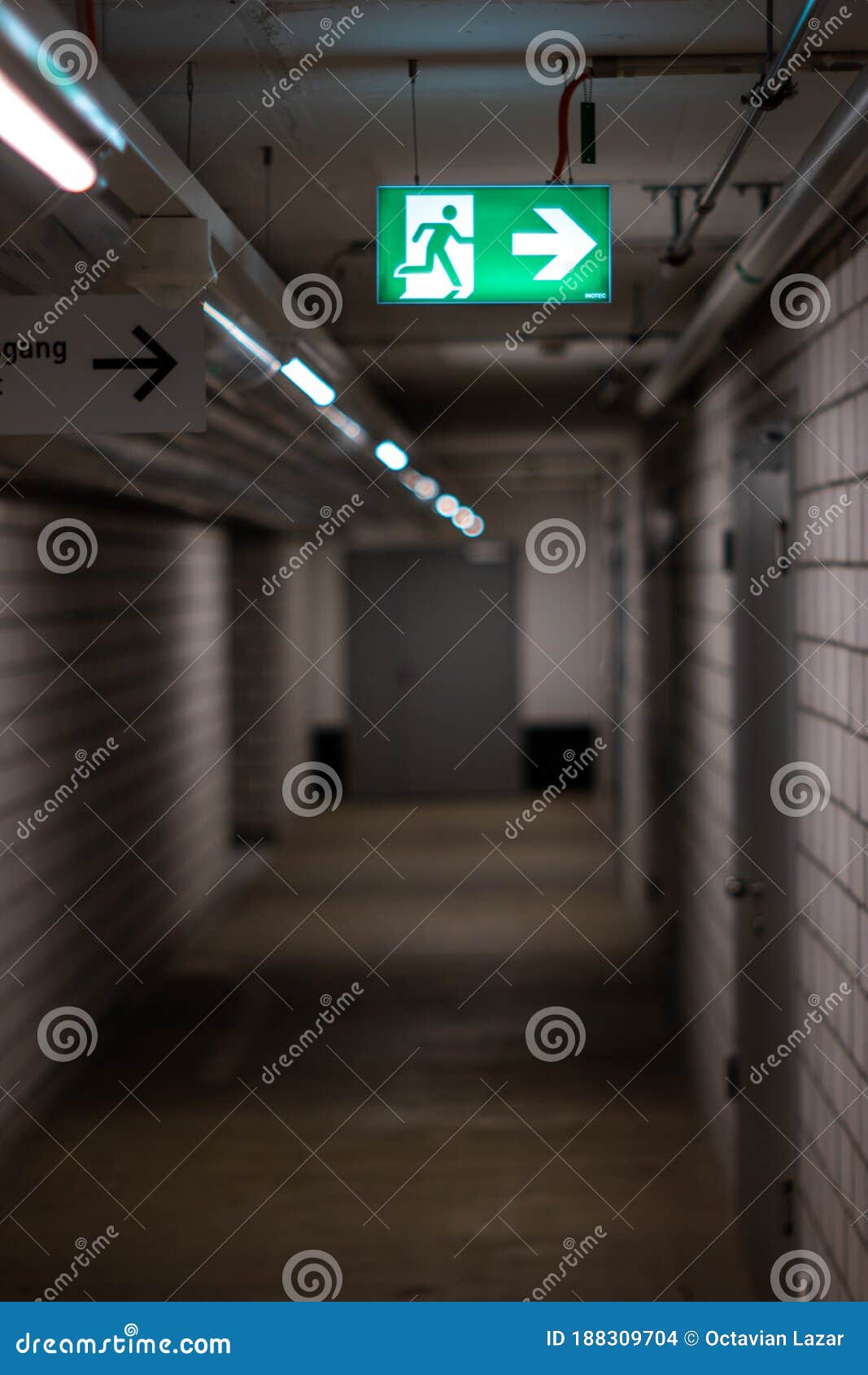 Illuminated Green Exit Sign Hanging from the Wall in and Underground ...