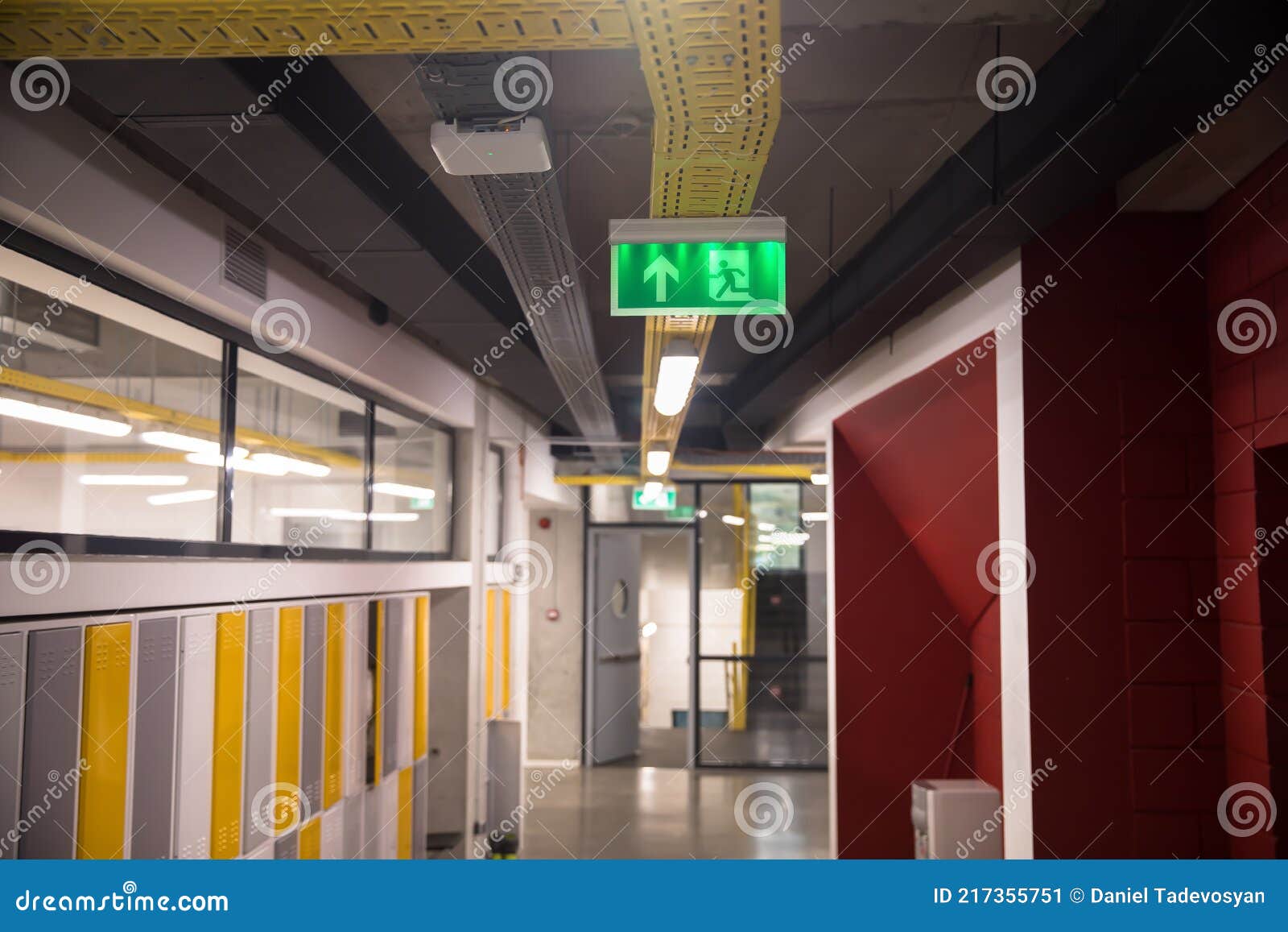 Illuminated Green Exit Sign Stock Image - Image of door, wall: 217355751