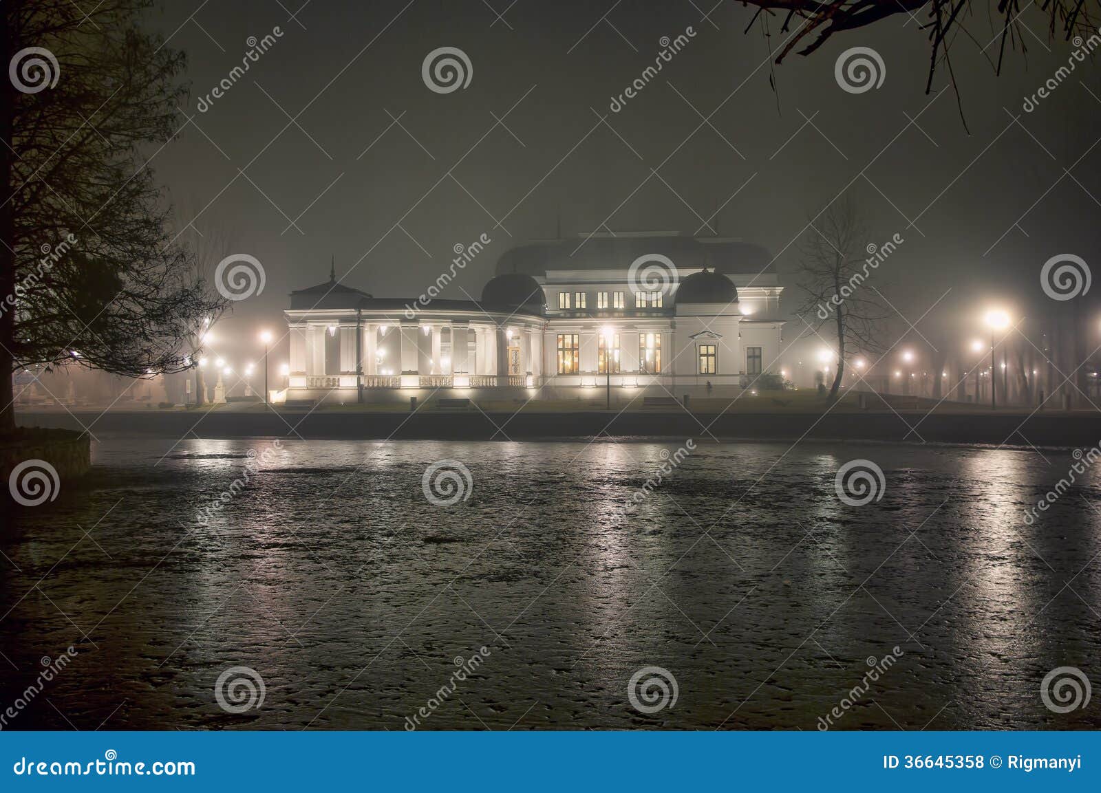 Lakeside Mansion At Night Stock Image | CartoonDealer.com #2055403