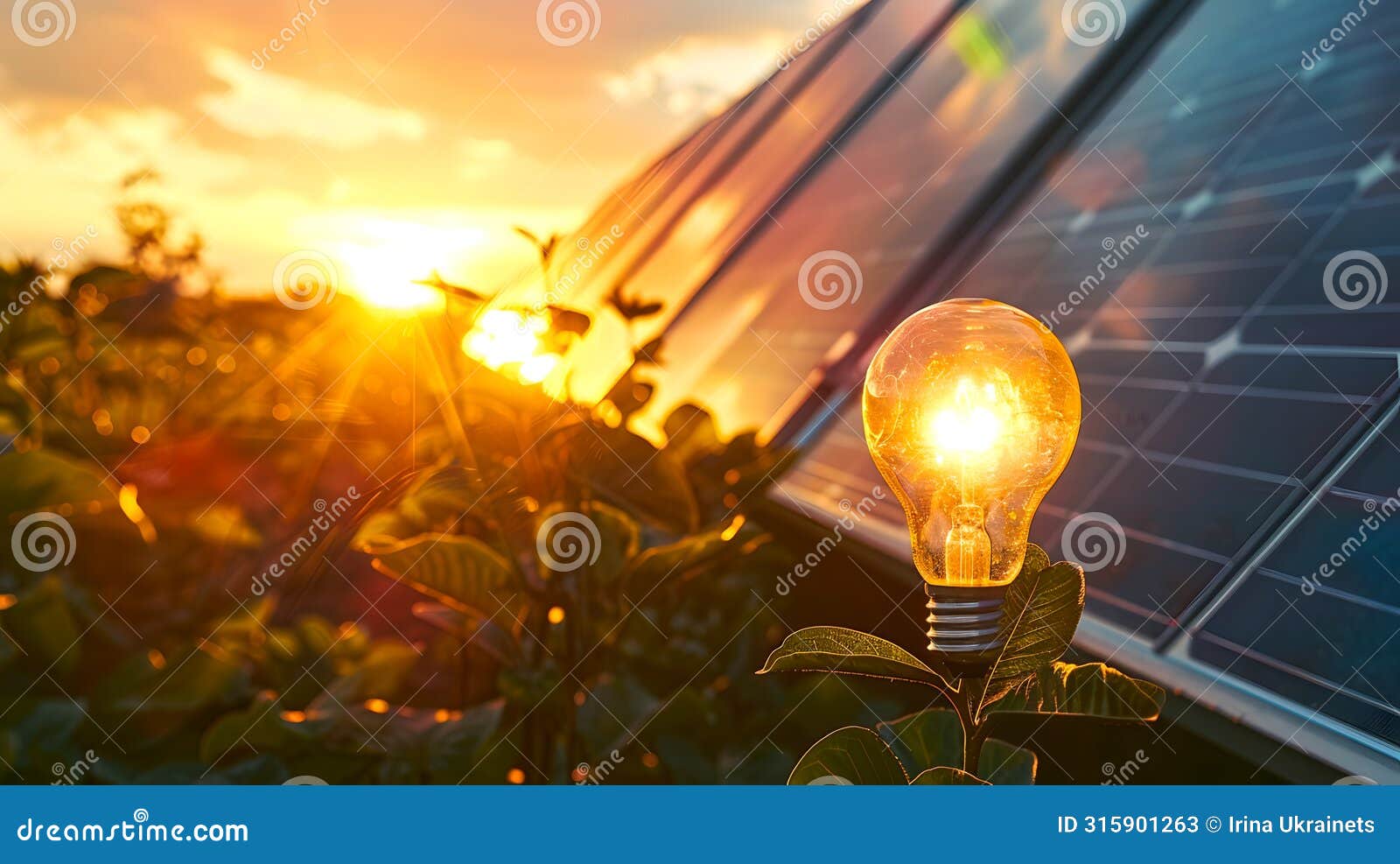 Illuminated Lightbulb in Front of Solar Panels at Sunset. Concept of ...