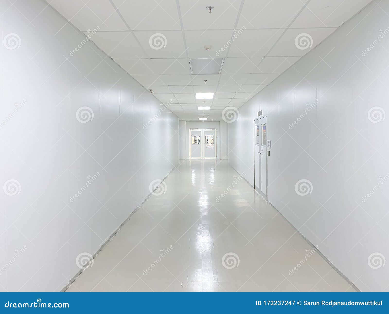 Illuminated Long White Corridor in Modern Office Building Stock Image ...