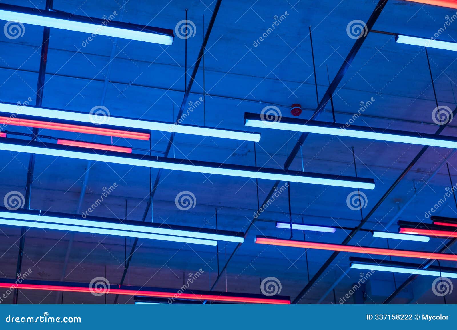 A Vibrant Display of Colorful Neon Lights Hanging from the Ceiling ...