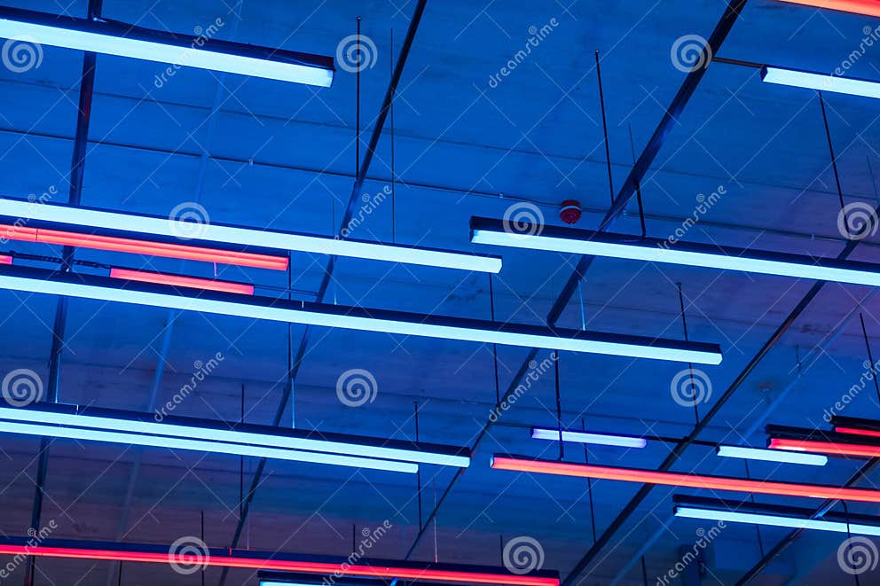 A Vibrant Display of Colorful Neon Lights Hanging from the Ceiling ...