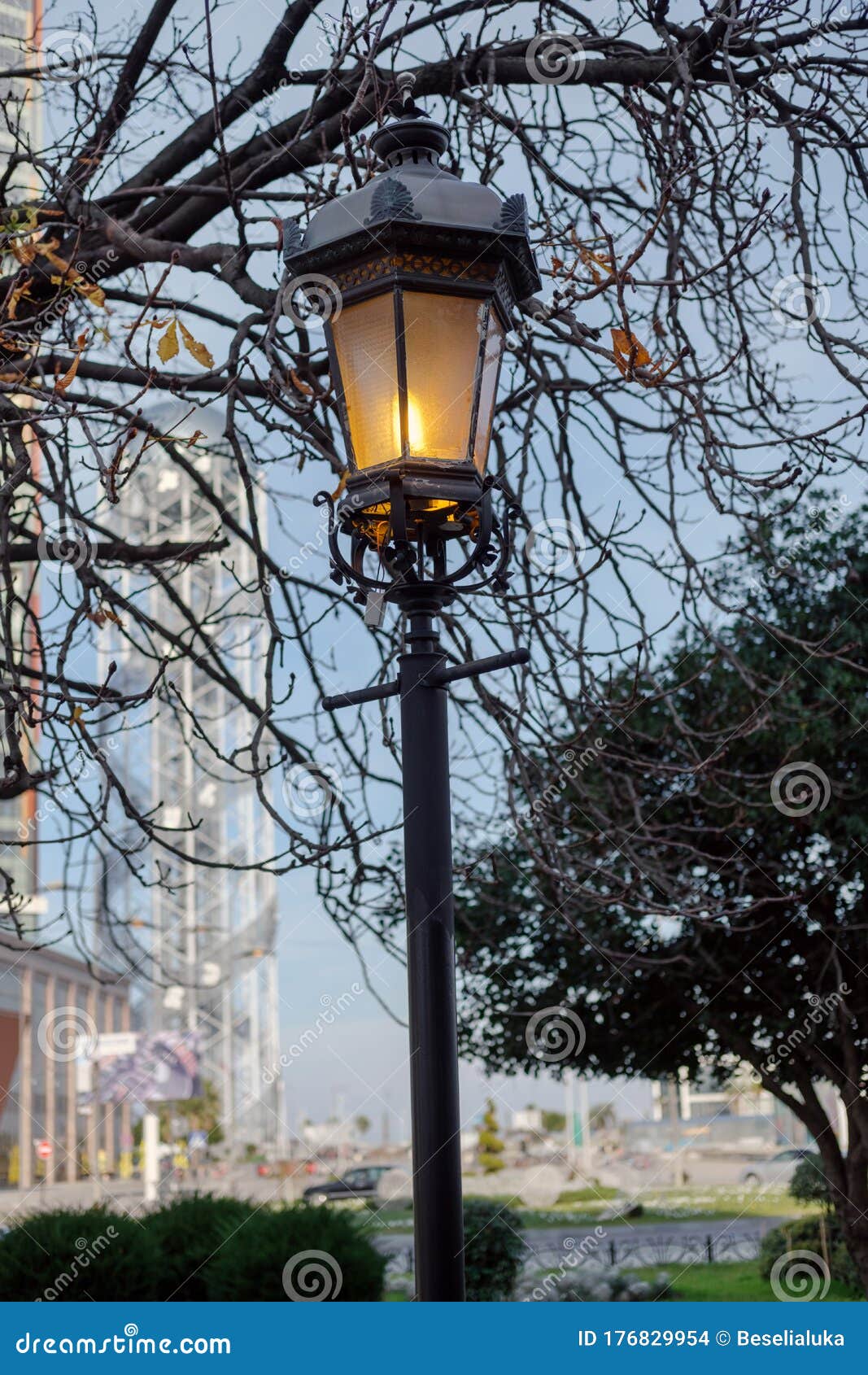Old Style Lamp Post in Front of a Leafless Tree Branches Stock Photo ...