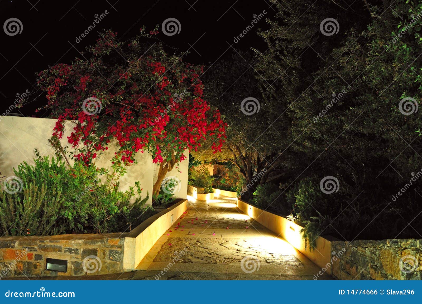 Illuminated Path at Luxury Hotel Stock Photo - Image of hotel ...