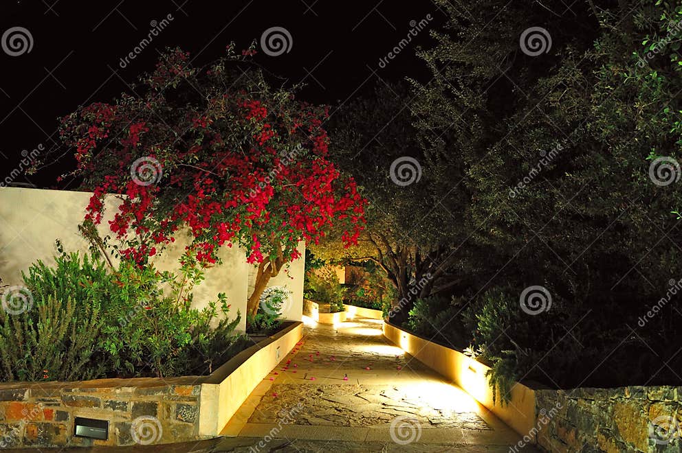 Illuminated Path at Luxury Hotel Stock Photo - Image of hotel ...