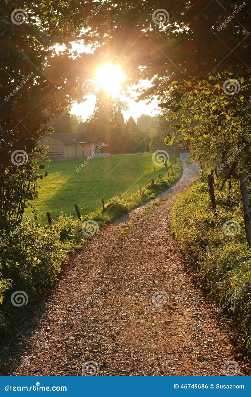Illuminated Path in Rural Landscape Stock Photo - Image of magic ...