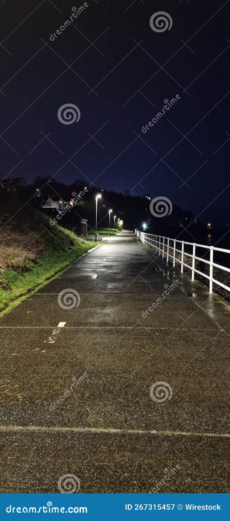 Illuminated Pathway at Night Stock Image - Image of landscape, dark ...