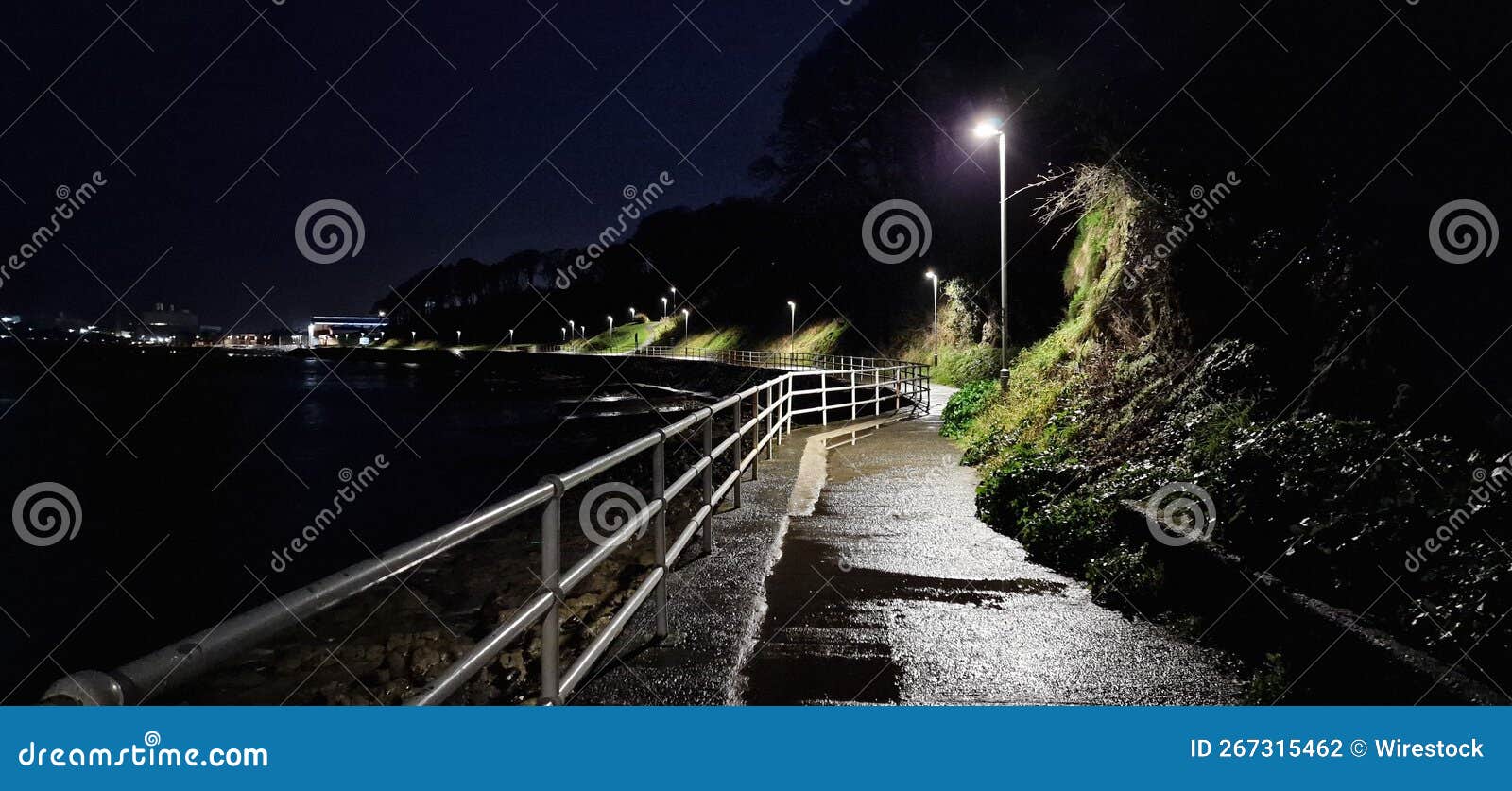 Illuminated Pathway at Night Stock Photo - Image of outdoors, landscape ...