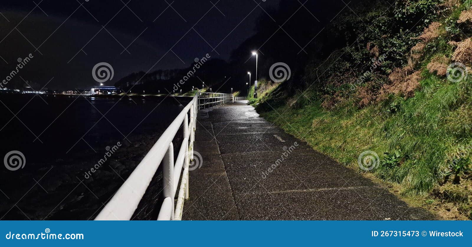 Illuminated Pathway at Night Stock Image - Image of illuminated, park ...