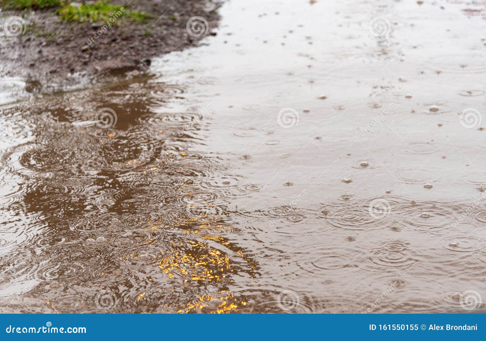 Illuminated Pool of Water and Raindrops Falling on it Stock Image ...
