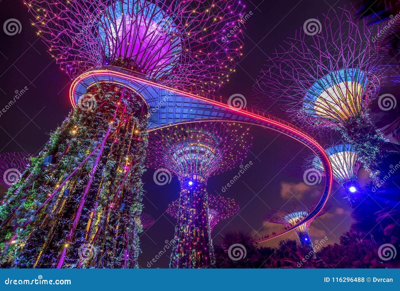 Illuminated Supertrees in Gardens by the Bay at Night, Singapore Stock ...