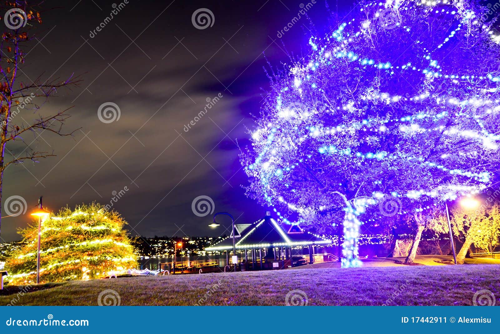 Illuminated tree stock image. Image of color, dark, evening - 17442911