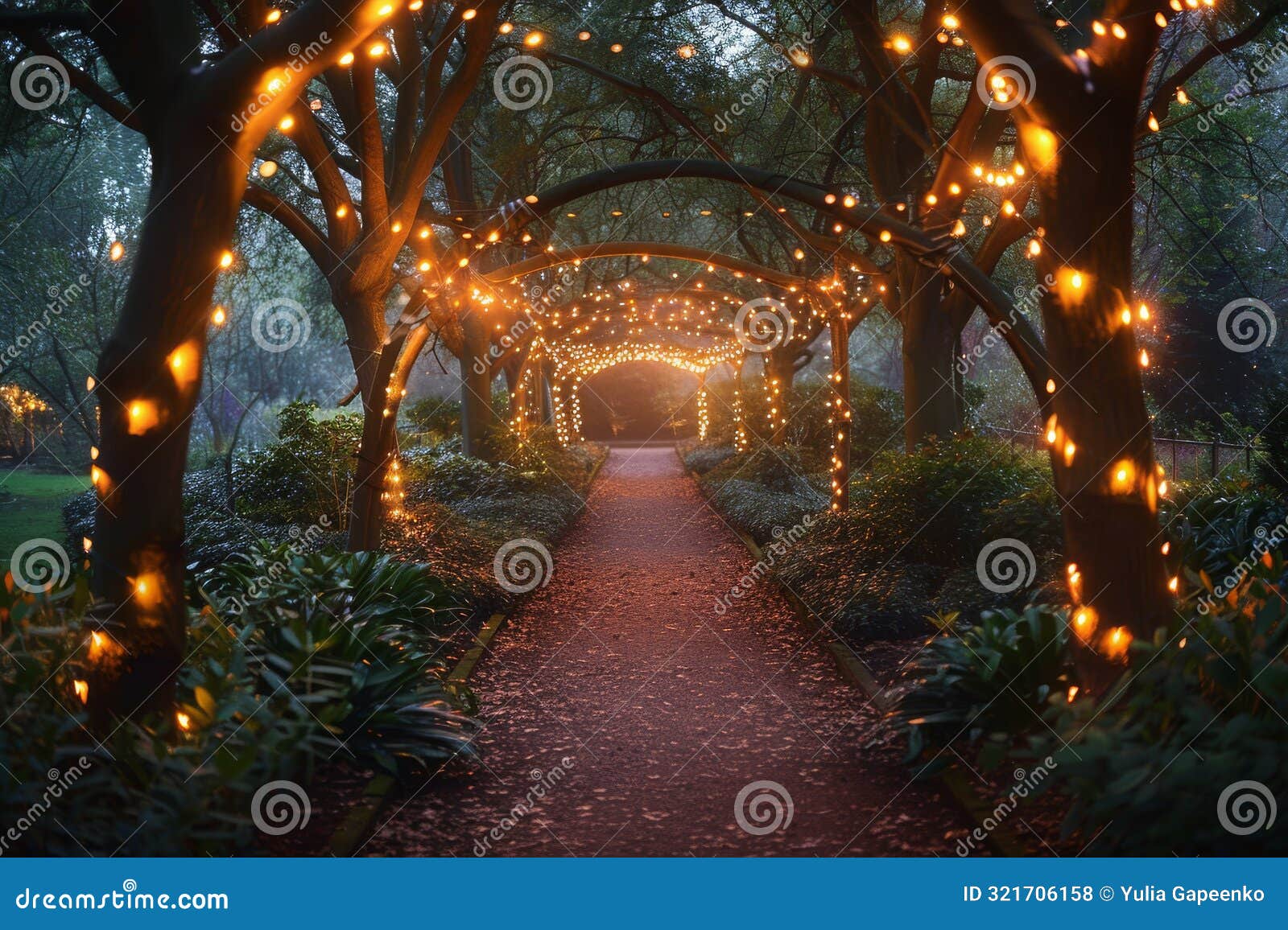 Illuminated Tree Lined Pathway on a Fall Evening Stock Photo - Image of ...
