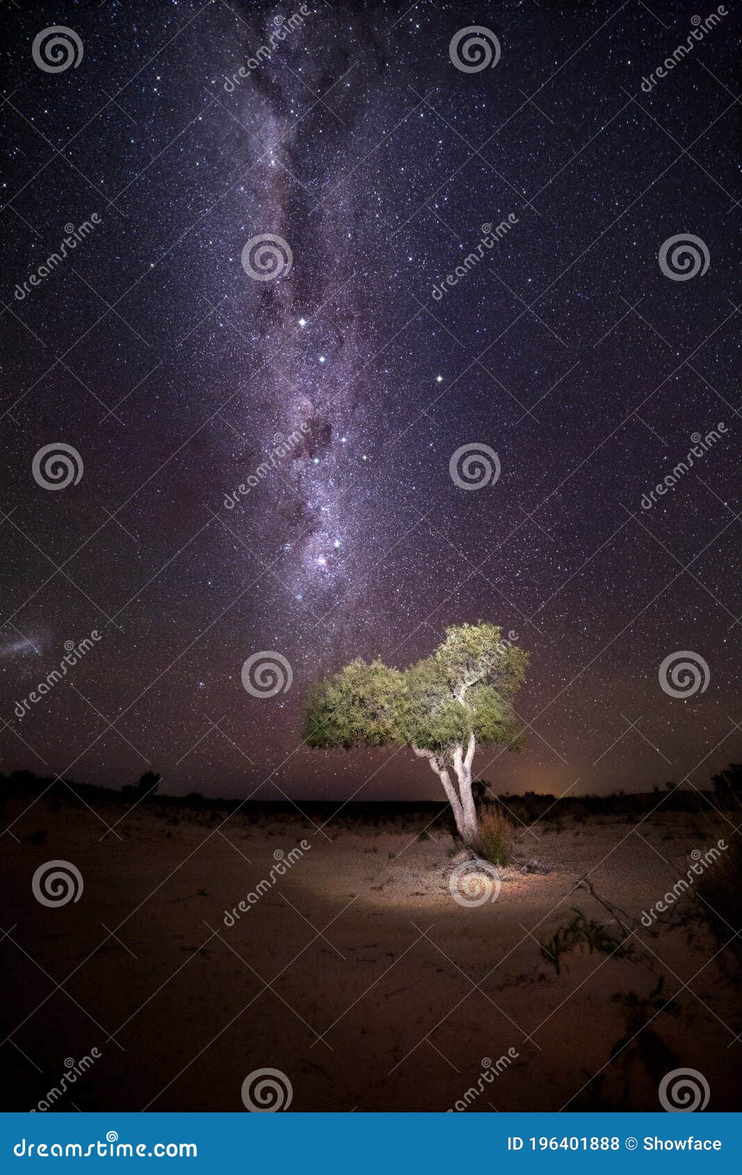 Illuminated Tree Under Starry Sky Stock Photo - Image of universe ...