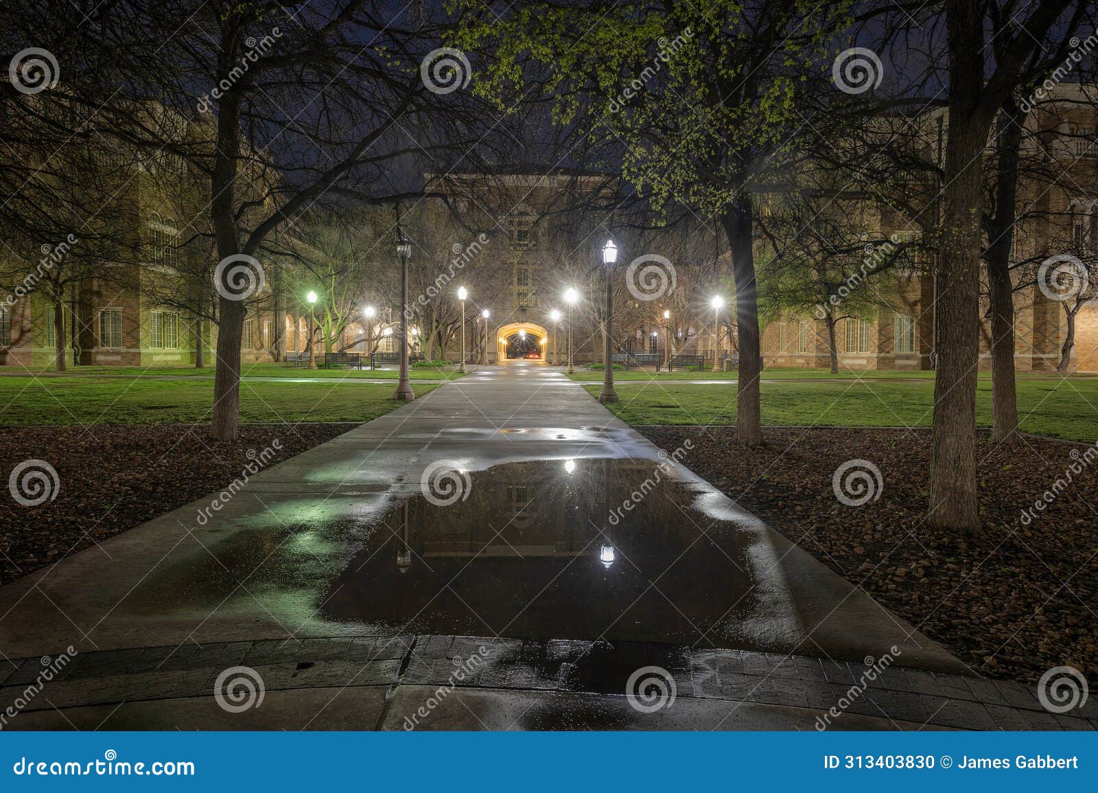 Illuminated Walkway on Texas Tech Campus Stock Photo - Image of tree ...