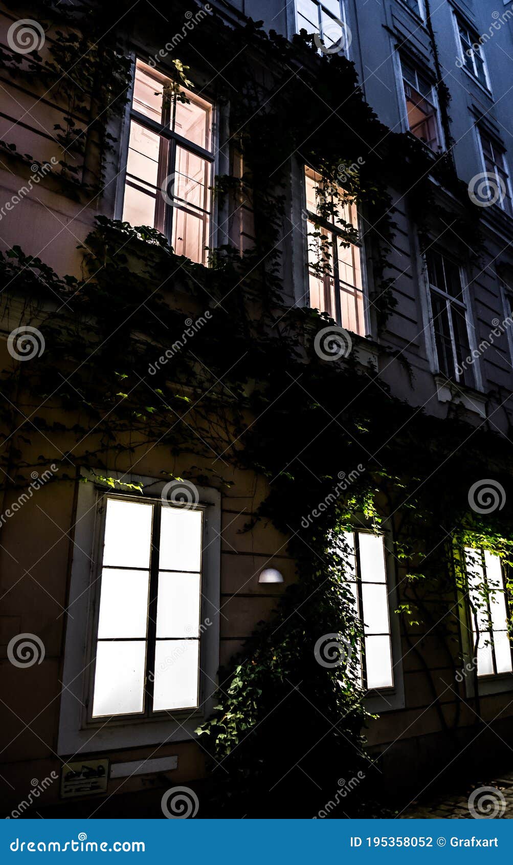 Overgrown Facade In Old Town. A Live Hedge On The Front Of The House ...