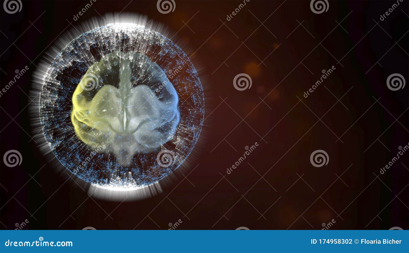 Illuminating Brain in the Process of Intense Learning, Beaming Light ...