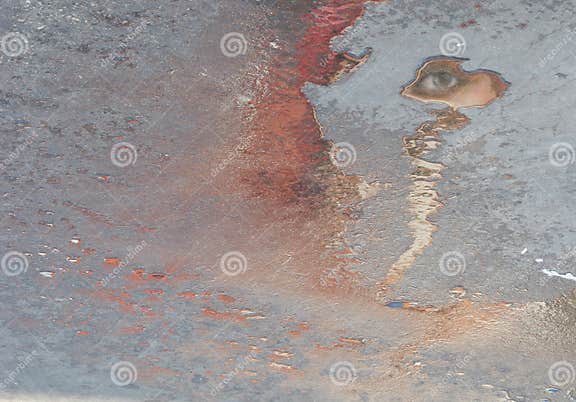 Illusion. Eye in the Puddle Stock Image - Image of asphalt, nature ...