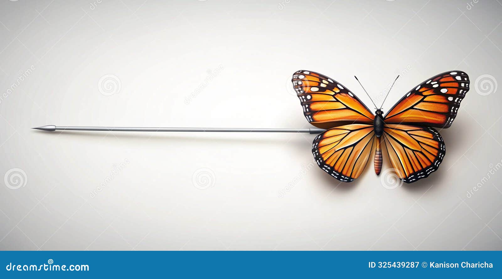 Needle Butterfly For The Introduction Of Drugs Into The Veins. Stock ...