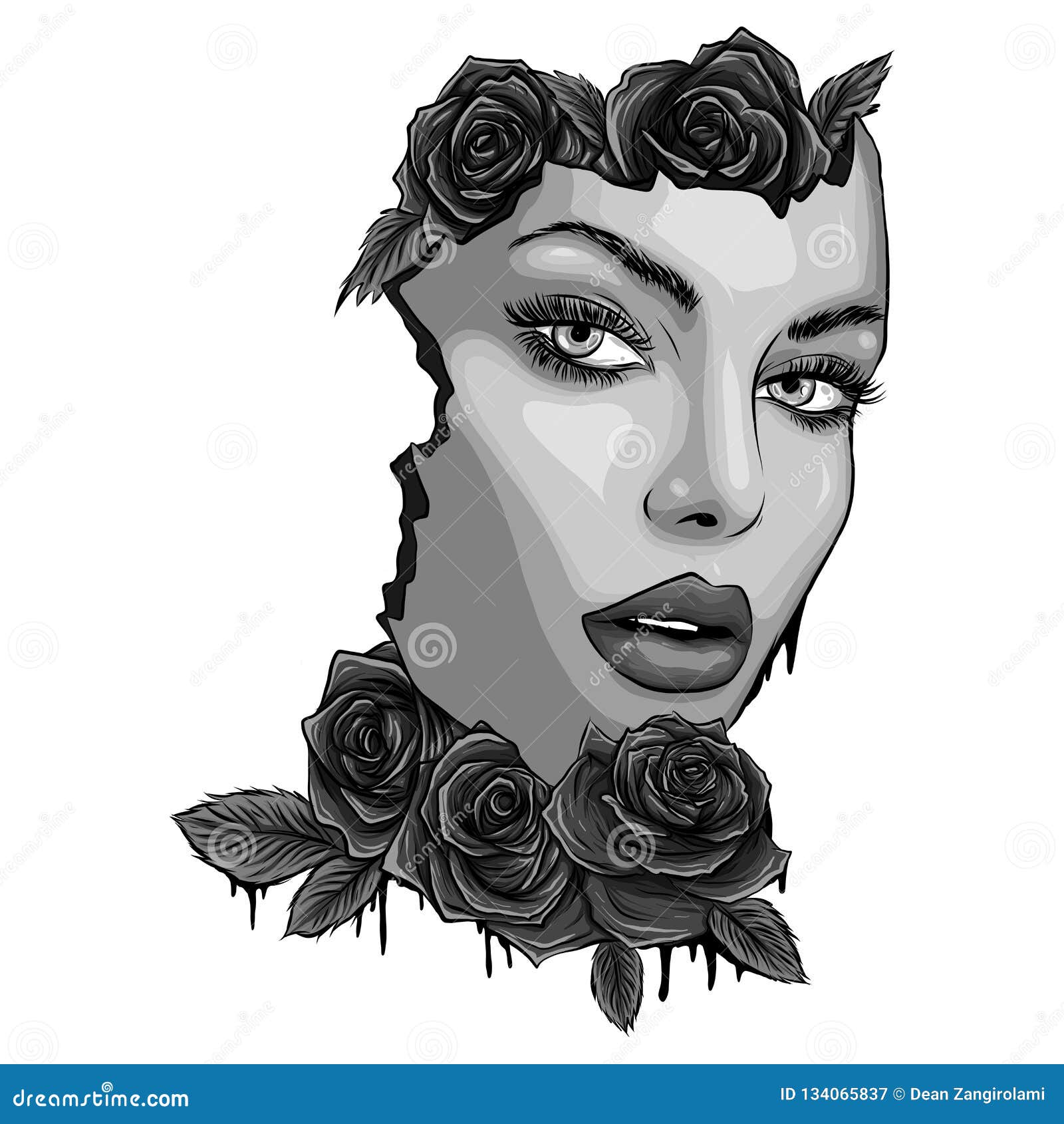 Vector Illustartion Face Young Lady with Roses Stock Vector ...