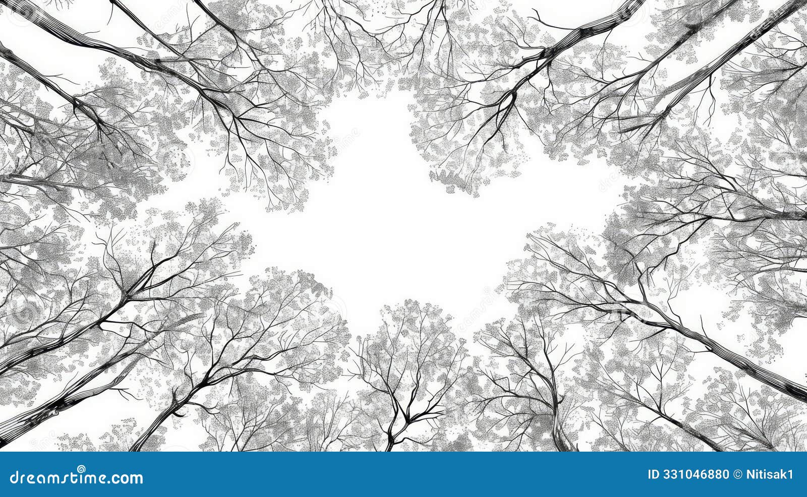 Illustrate A Mesmerizing Kaleidoscope Pattern From A Unique Worms-eye ...