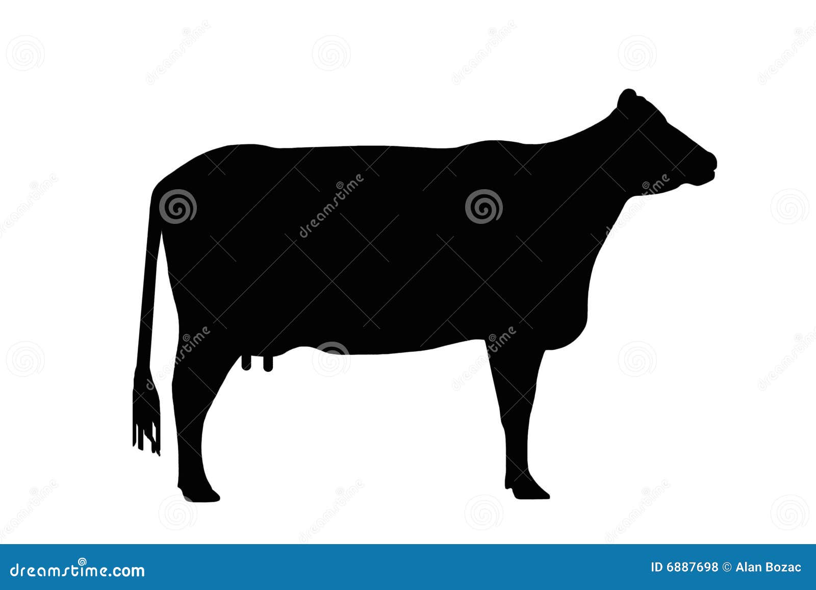 Illustrated cow sign stock illustration. Illustration of white - 6887698